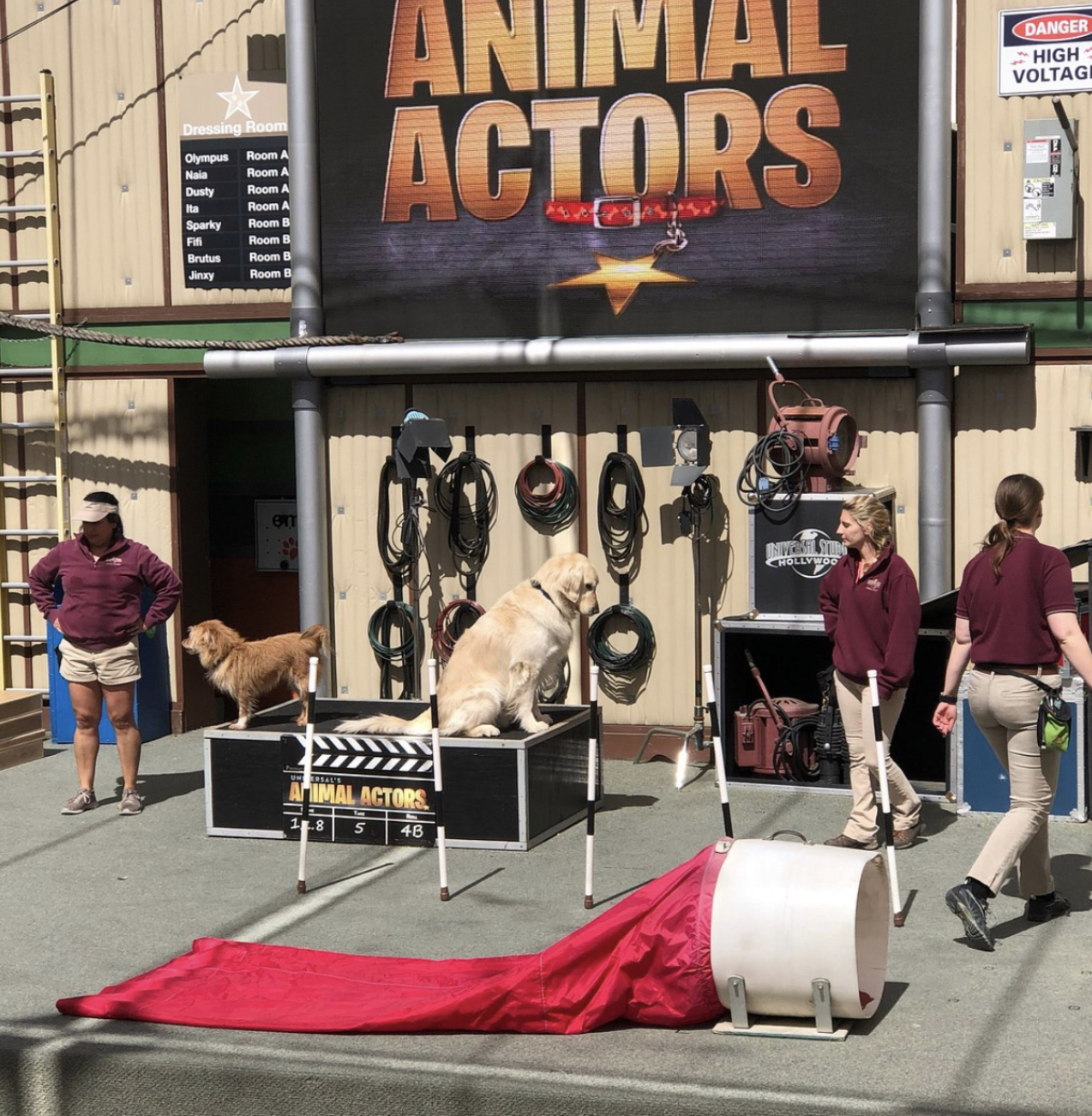 Behind the Scenes: Animal Actors at Universal – Phantom of the Backlots