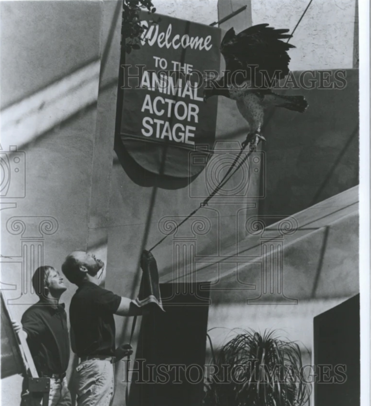 Behind the Scenes: Animal Actors at Universal – Phantom of the Backlots