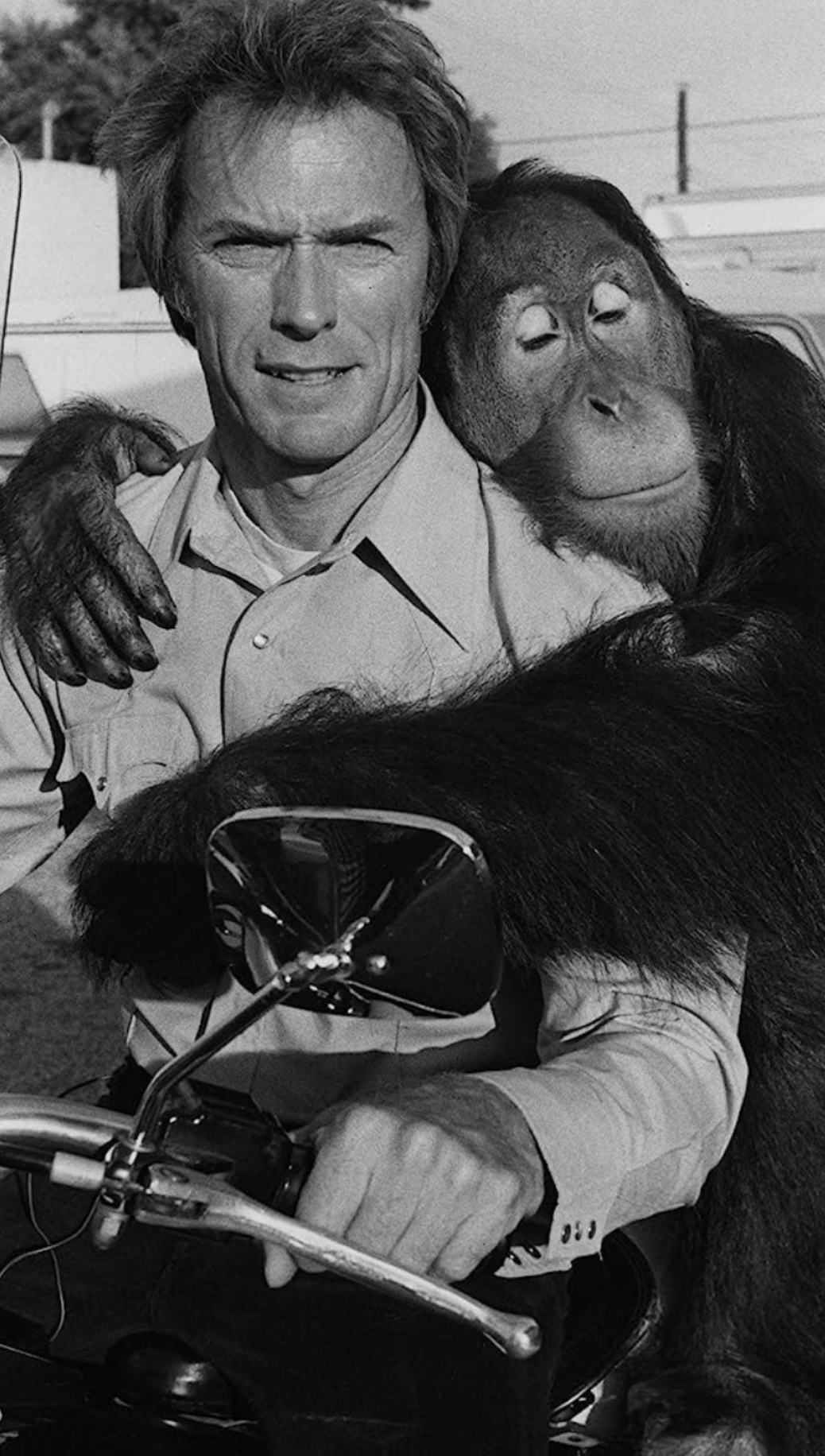 Behind the Scenes: Animal Actors at Universal – Phantom of the Backlots