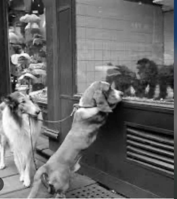 My Three Sons -CBS Radford – Phantom of the Backlots