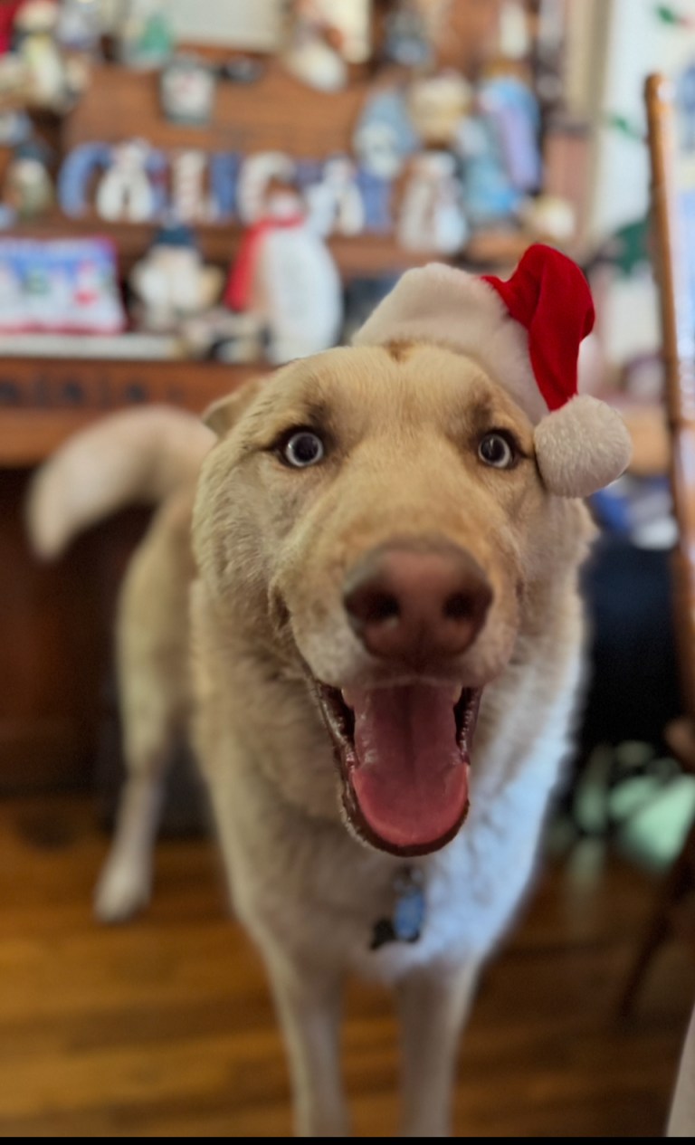 The Legend of Saint Nico – Phantom of the Backlots